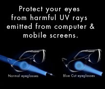 Eyewear - Sunglasses